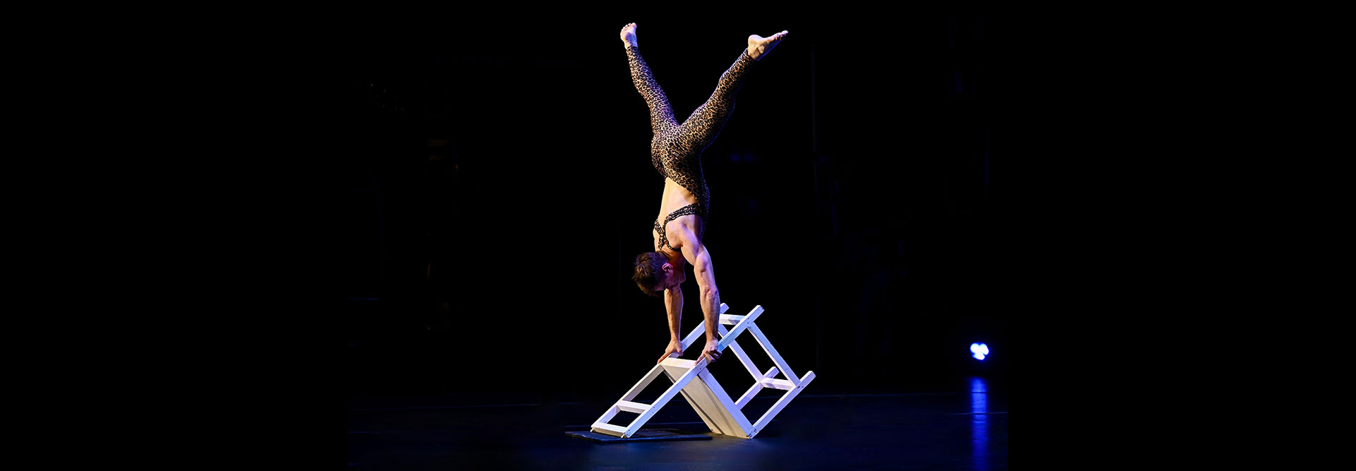 Open Stage Showcase - New England Center for Circus Arts