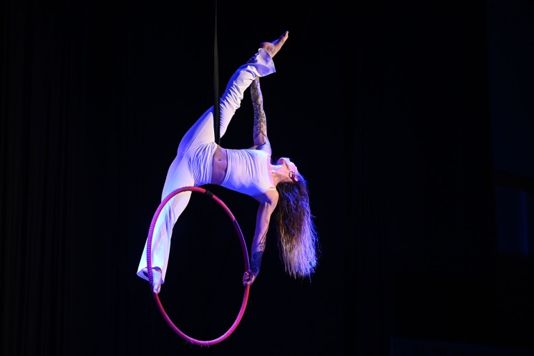 ProTrack Program - New England Center for Circus Arts